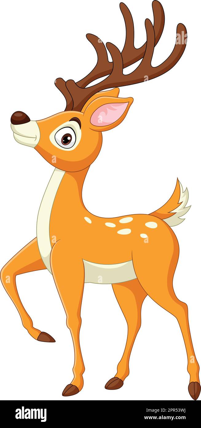 Funny Deer Cartoons