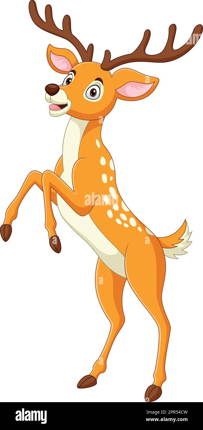 Cartoon funny deer standing on white background Stock Vector Image ...