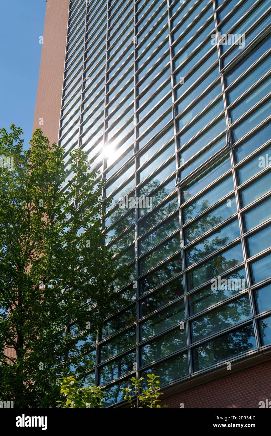 Barnaba oriani hi-res stock photography and images - Alamy