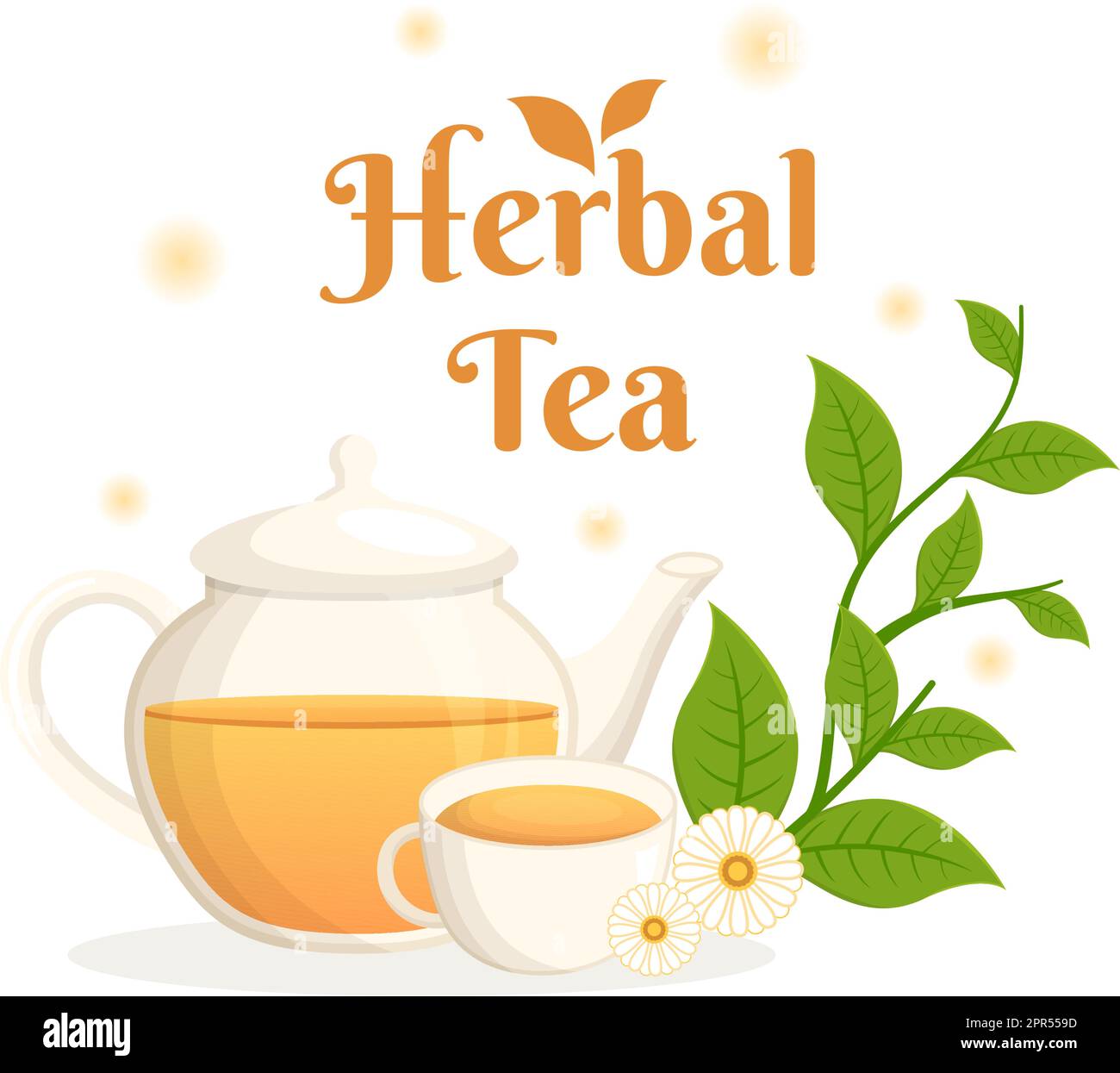 Herbal Tea with Chamomile Leaves of Health Drink Green to Increase ...
