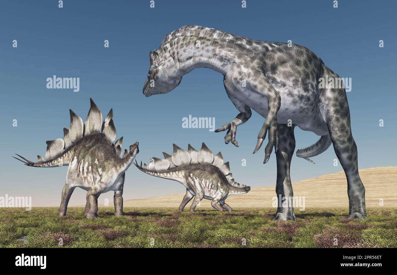 Allosaurus attacks Stegosaurus Stock Photo - Alamy