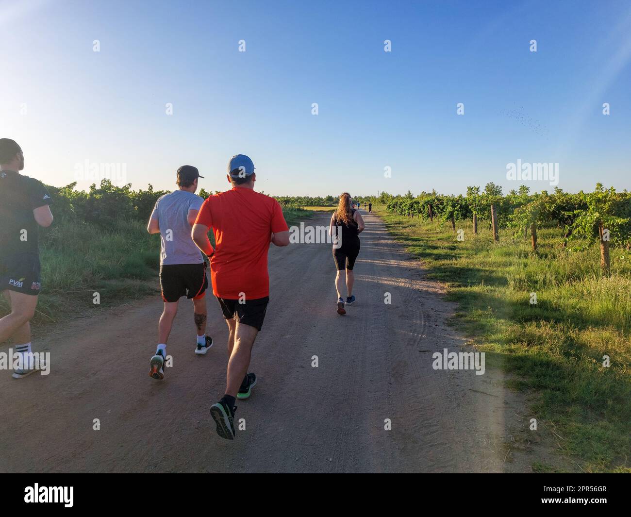 Upington, South Africa - Feb 24, 2023: Runners doing a Parkrun between ...