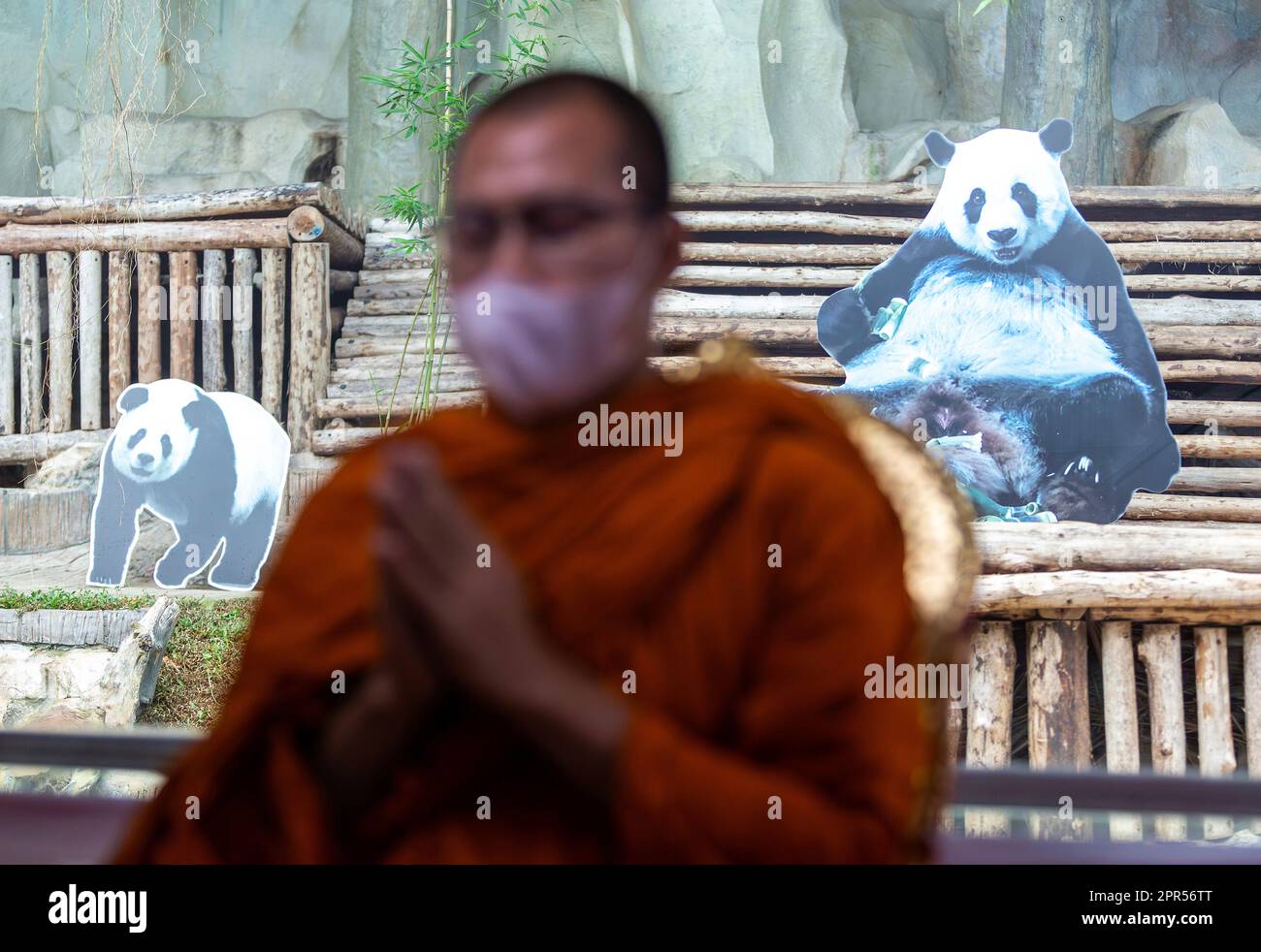 Chiang Mai, Thailand. 26th Apr, 2023. Thai Buddhist monk prays on the ...