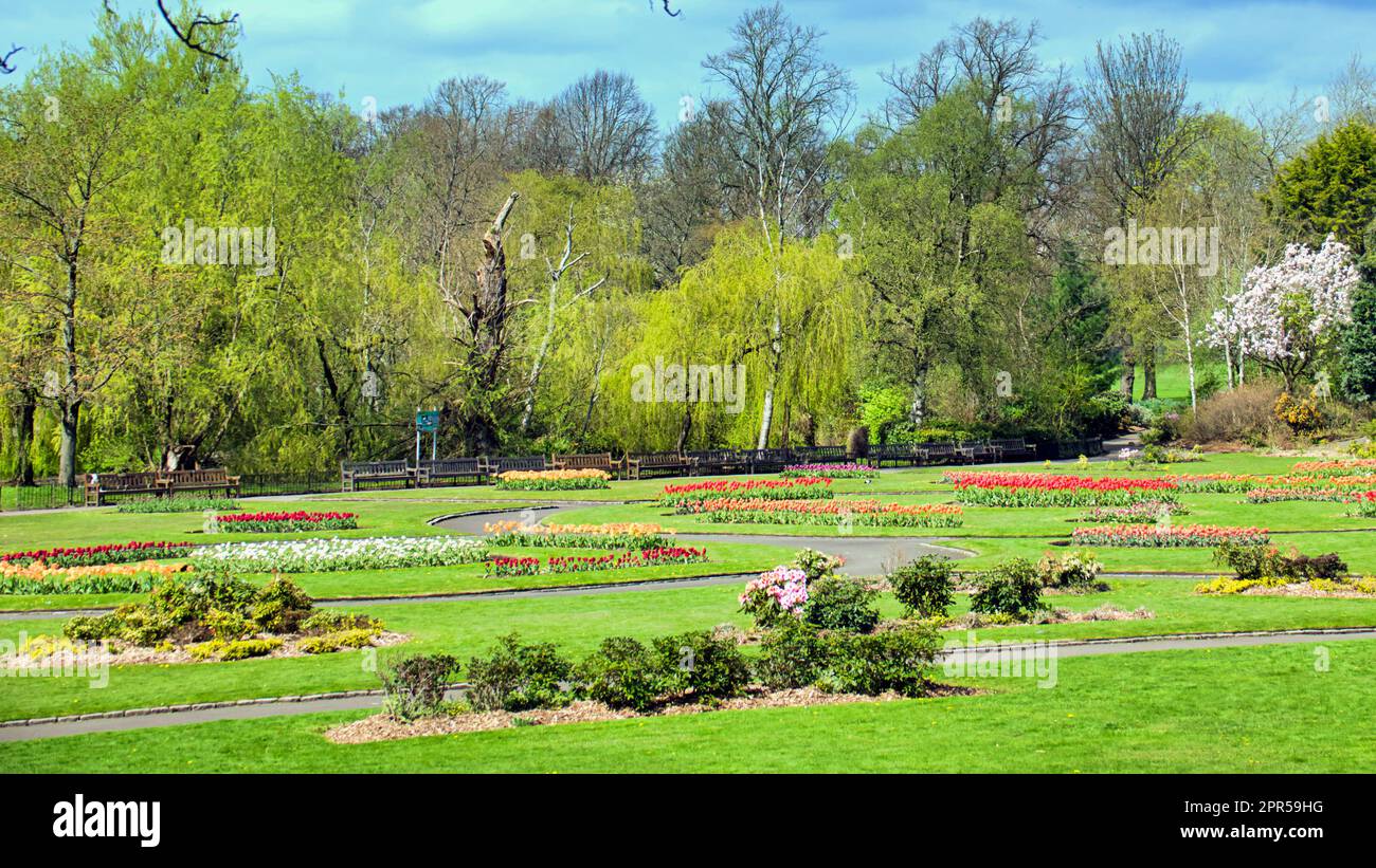 Glasgow, Scotland, UK 26th , April, 2023. UK Weather: Sunny city Cherry ...