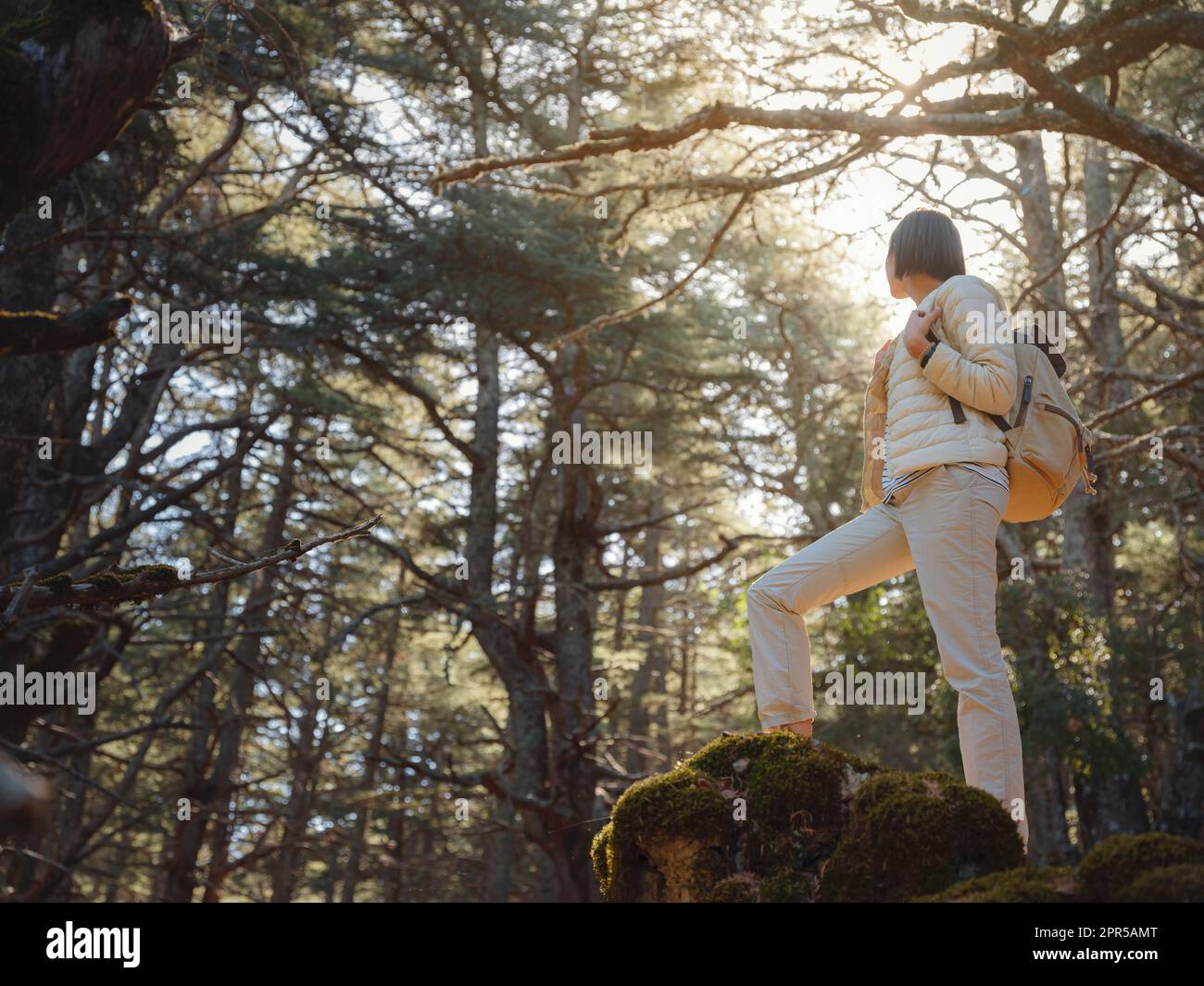 asian woman enjoys being in nature, beautiful forest in mountains ...