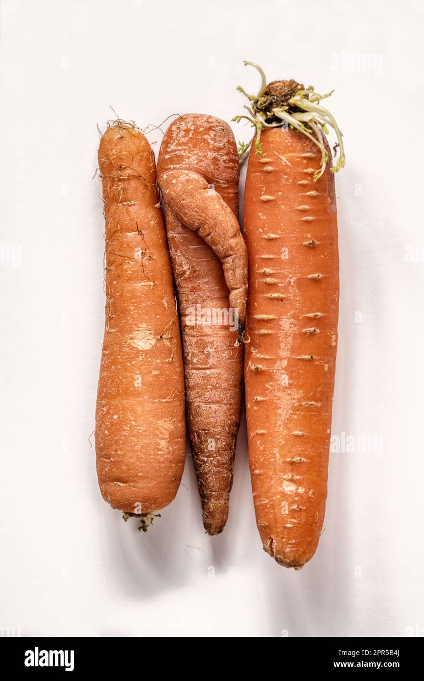 Set of three carrots of different sizes and texture Stock Photo - Alamy
