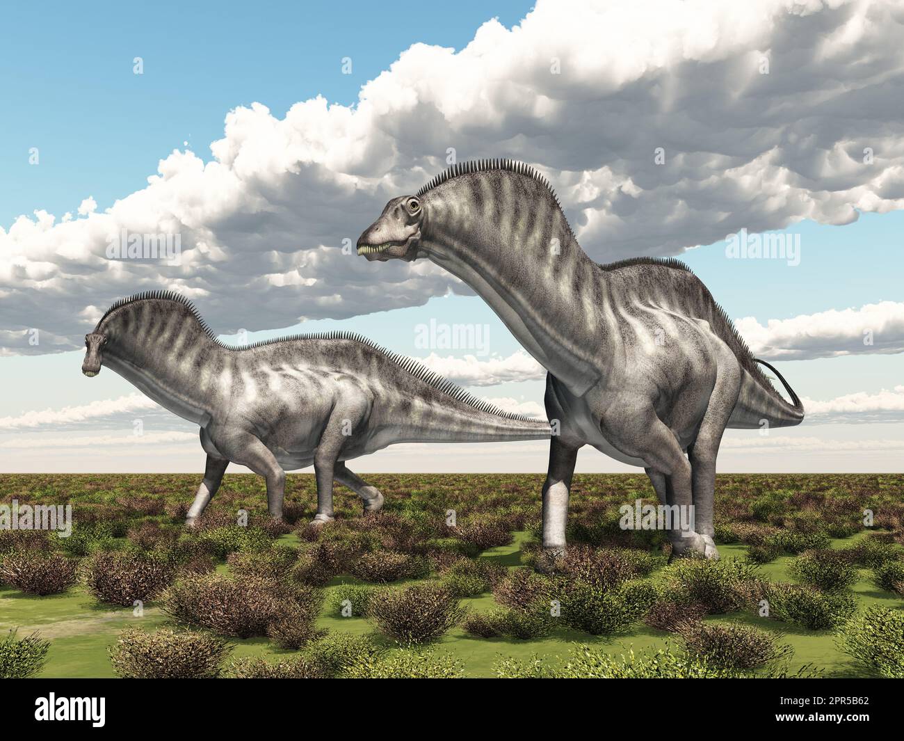 Dinosaur Amargasaurus in the habitat Stock Photo - Alamy