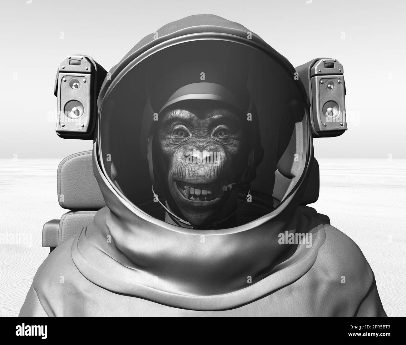 Monkey In Space Suit Movie
