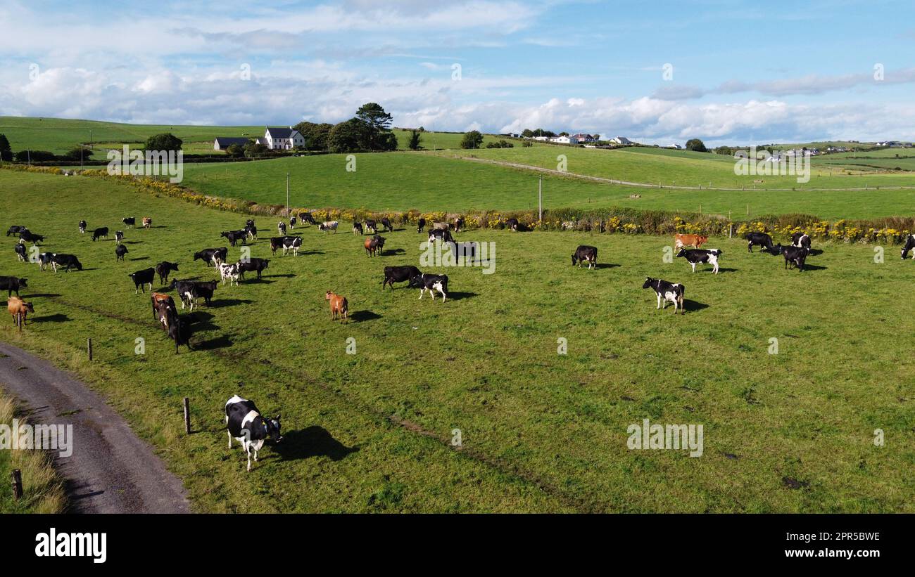 Summer in ireland hi-res stock photography and images - Alamy
