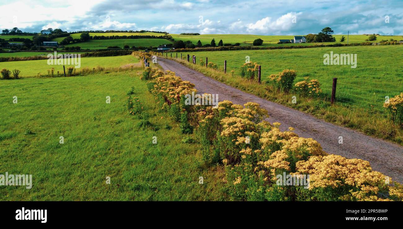 Green fields of ireland hi-res stock photography and images - Alamy