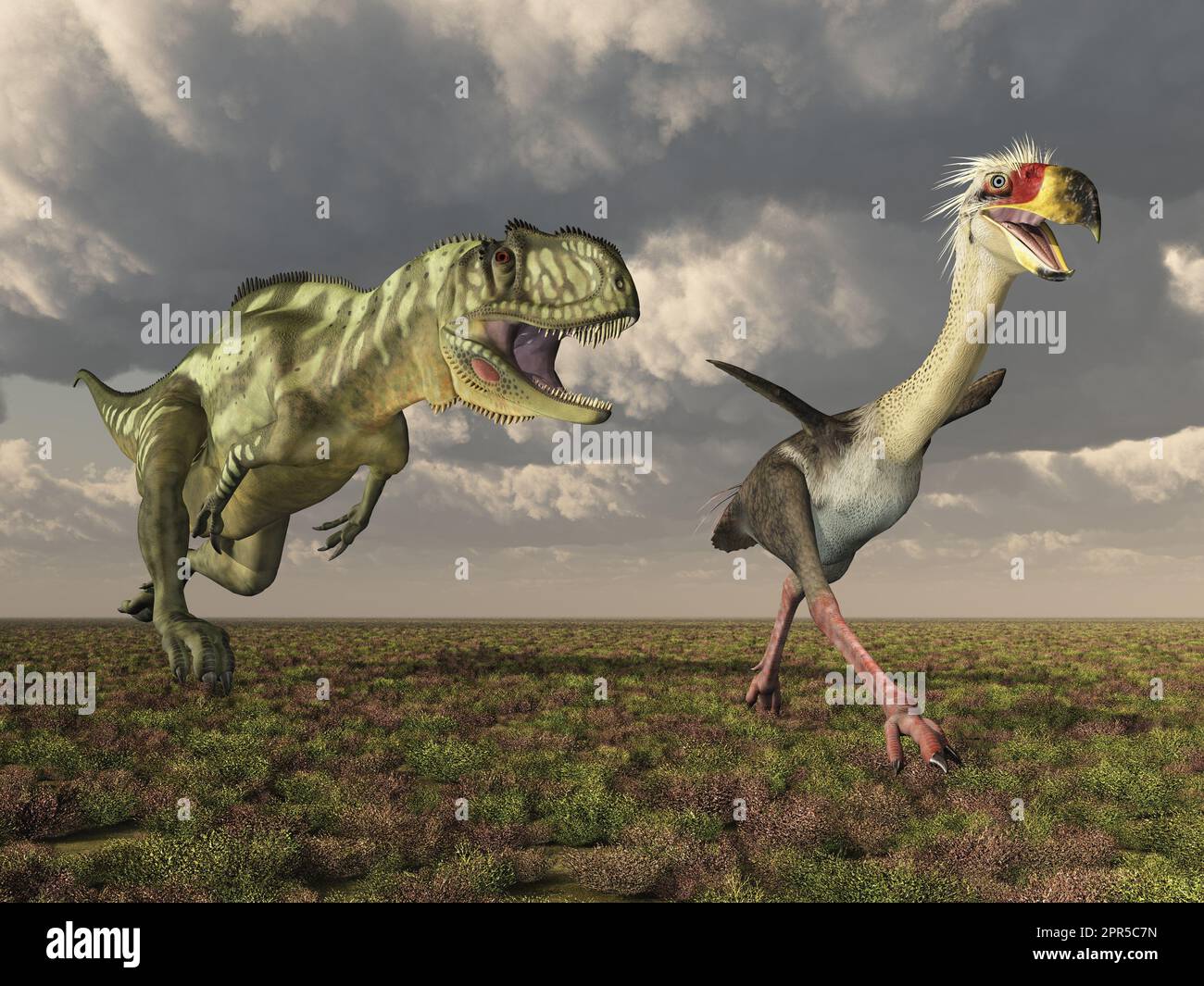 Dinosaur Yangchuanosaurus and terror bird Phorusrhacos Stock Photo - Alamy