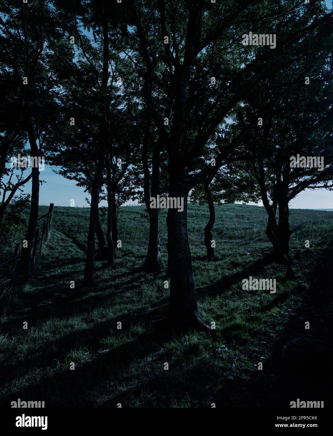 Full moon landscape trees hi-res stock photography and images - Alamy