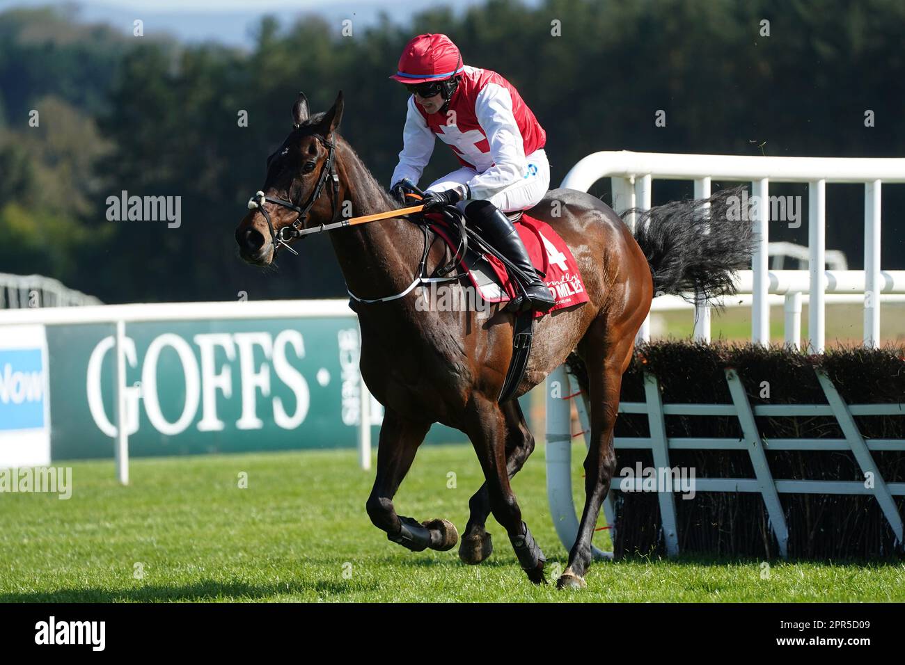 Sandor clegane horse hi-res stock photography and images - Alamy