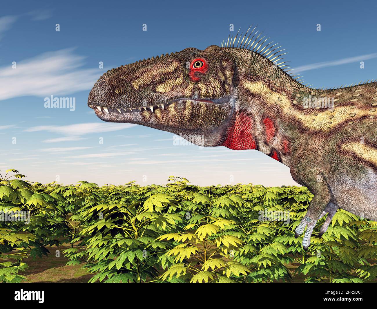Head of the dinosaur Nanotyrannus Stock Photo - Alamy