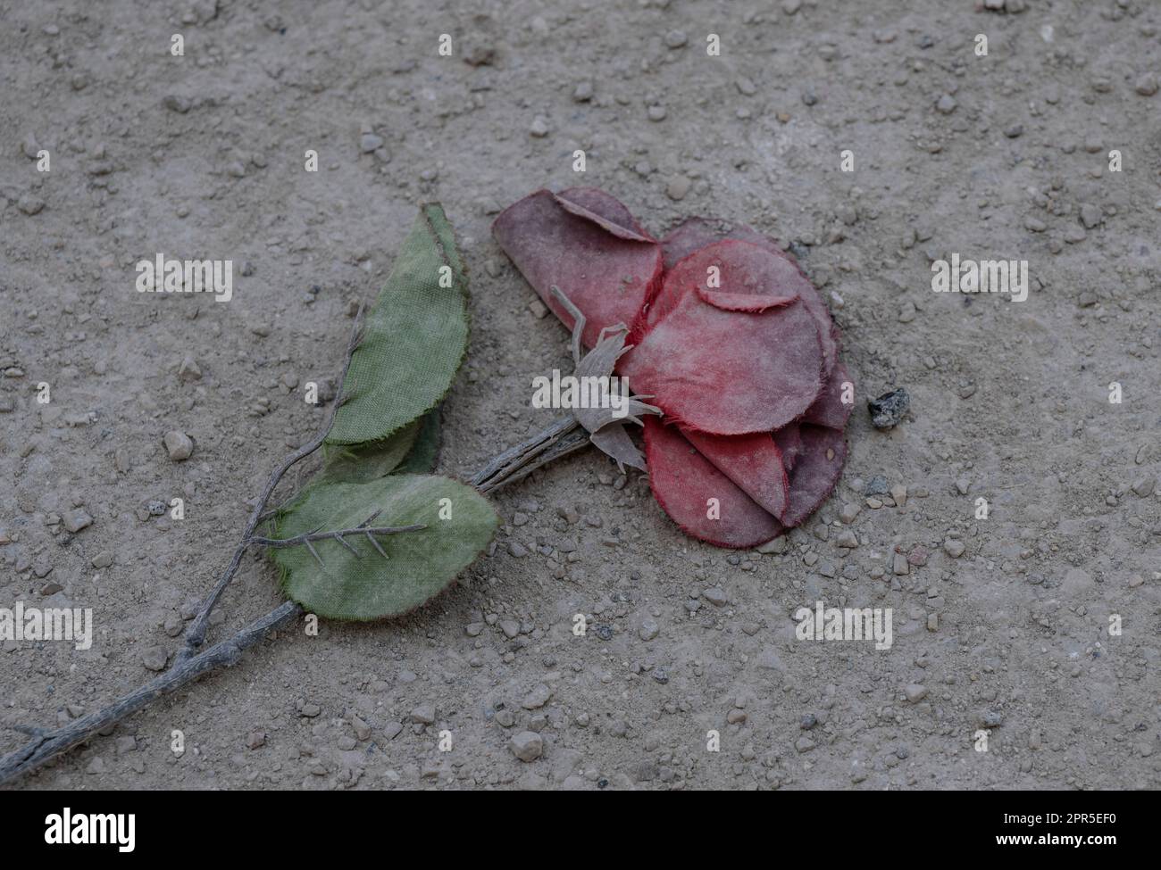 Samandag, Turkey. 26th Apr, 2023. A plastic rose lies in the dust in ...