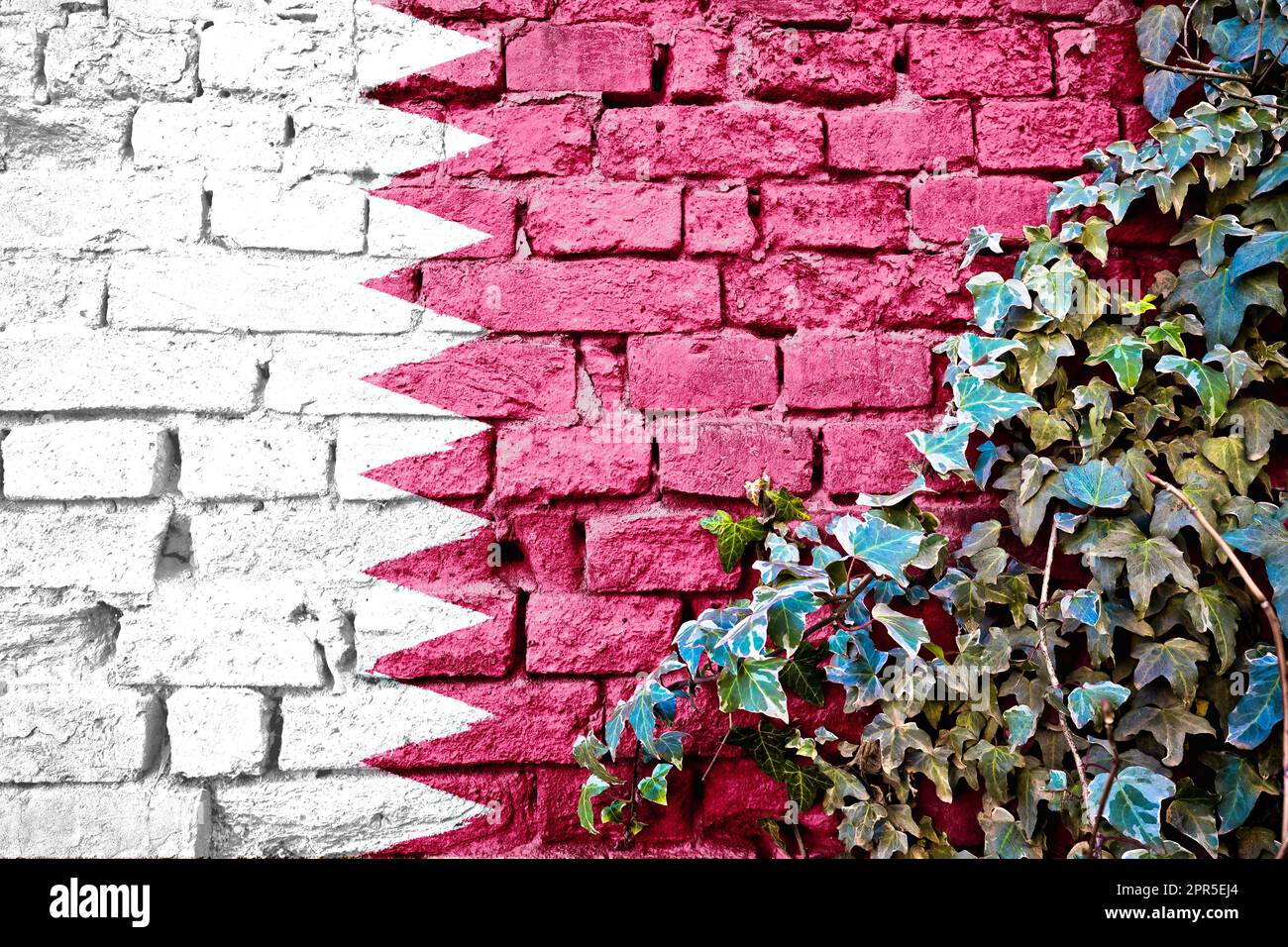Qatar grunge flag on brick wall with ivy plant, country symbol concept ...