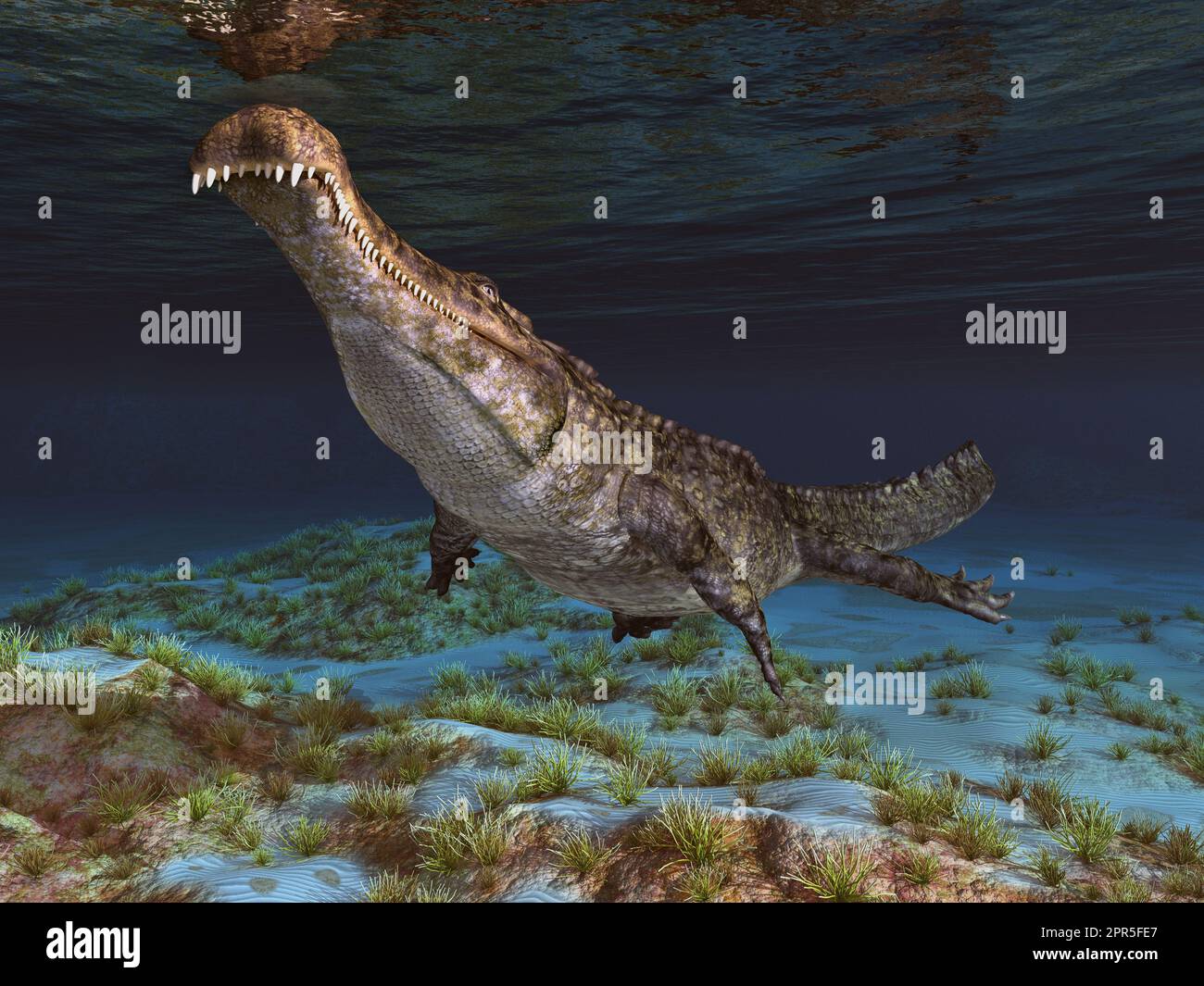 Prehistoric crocodile Sarcosuchus underwater Stock Photo - Alamy