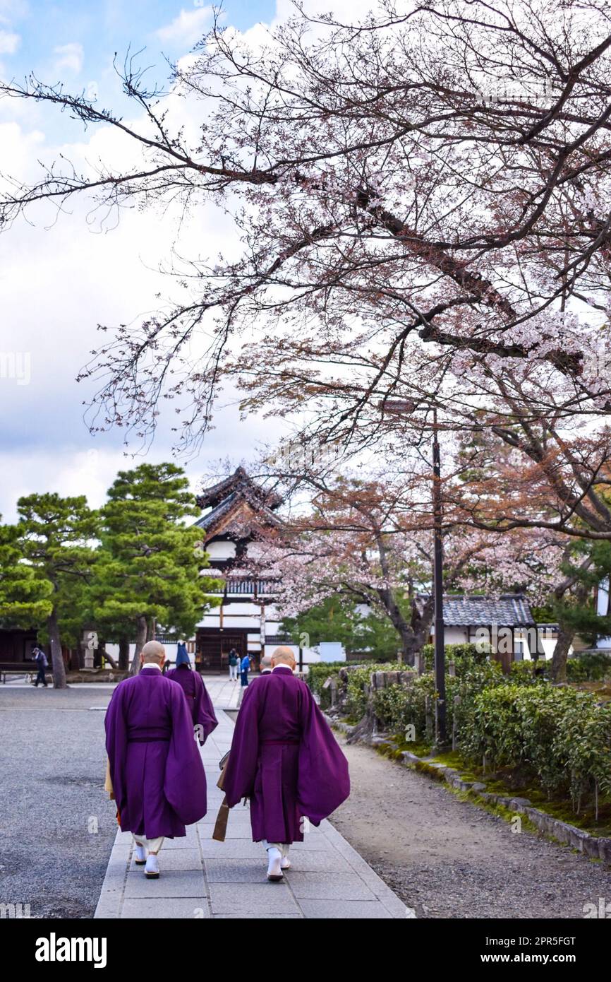 Japanese prayer tree hi-res stock photography and images - Alamy