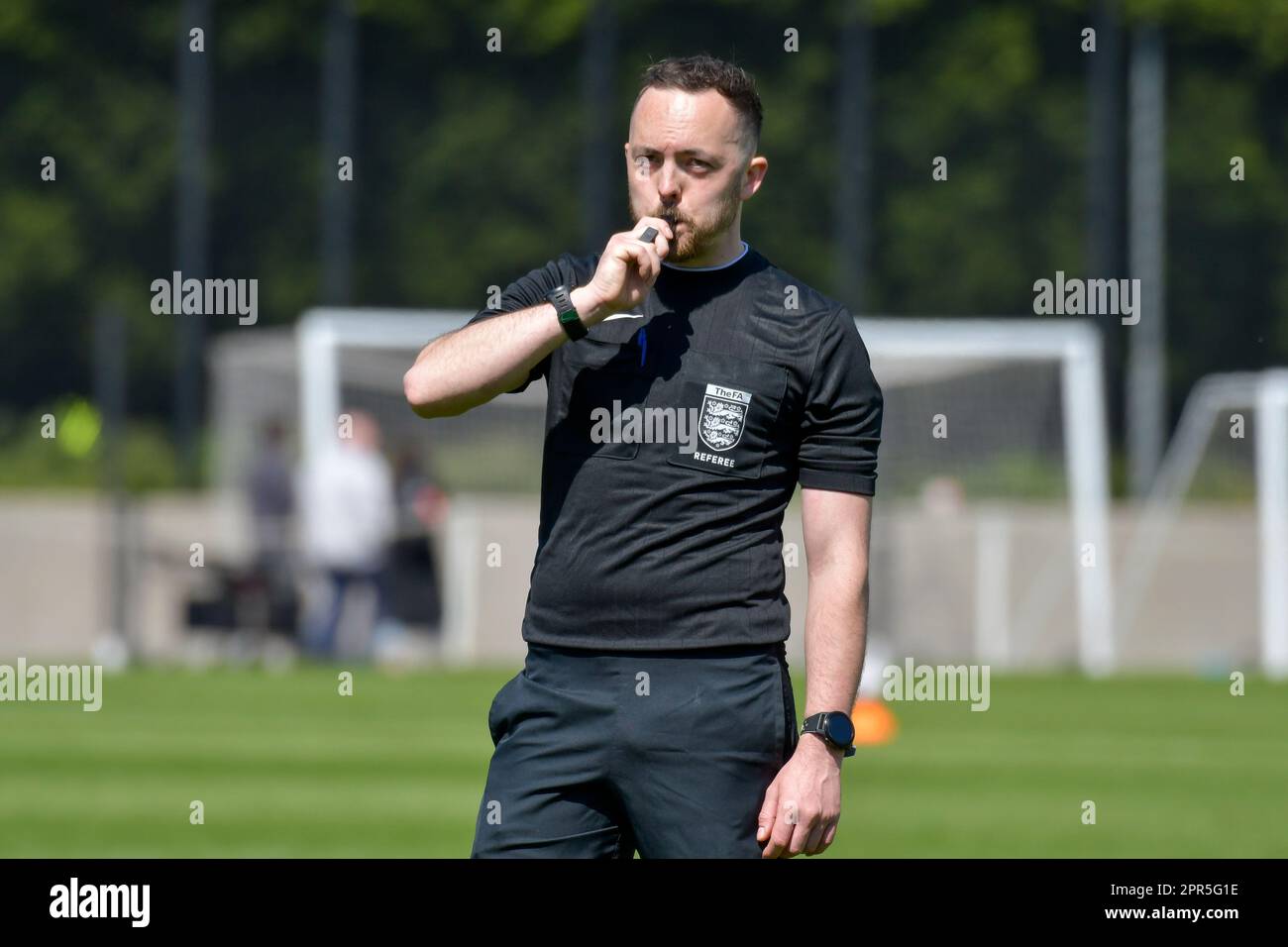 Bullock teams hi-res stock photography and images - Alamy