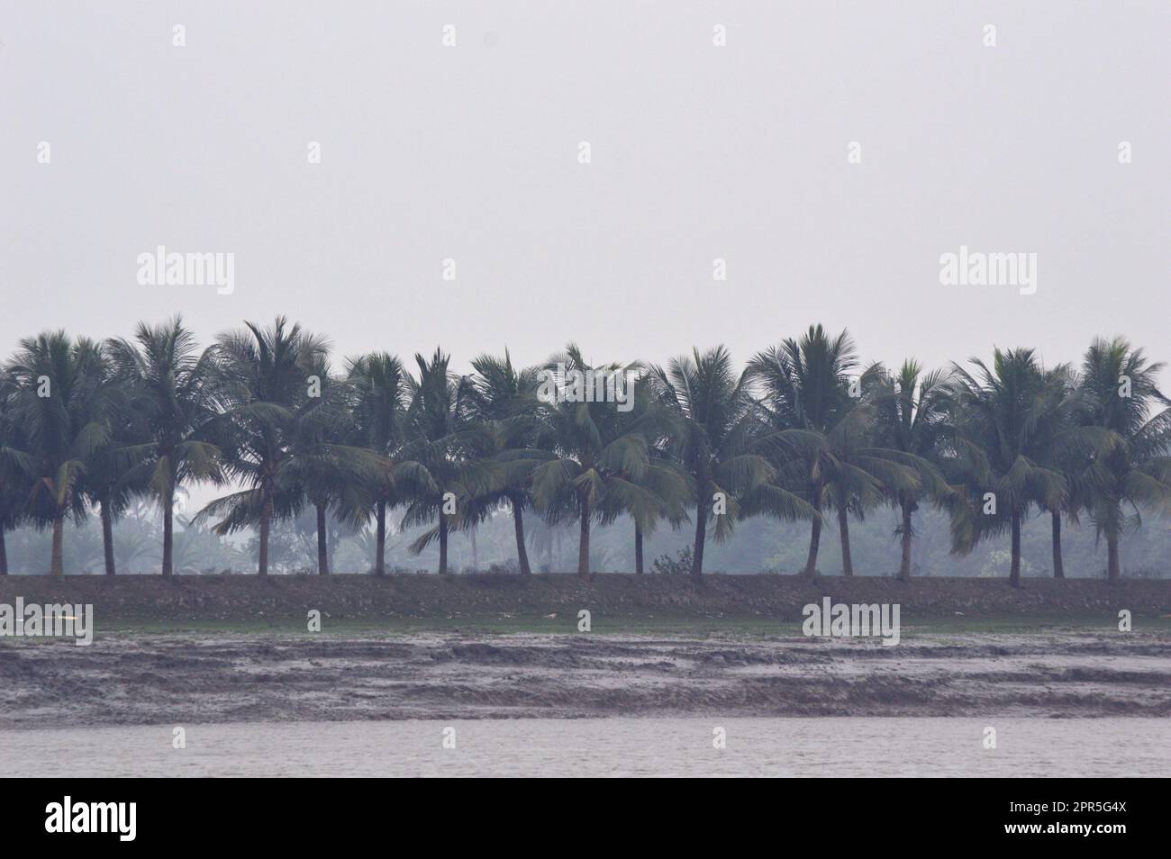 Natural beauty of Sundarbon, beautiful sundarban Stock Photo - Alamy