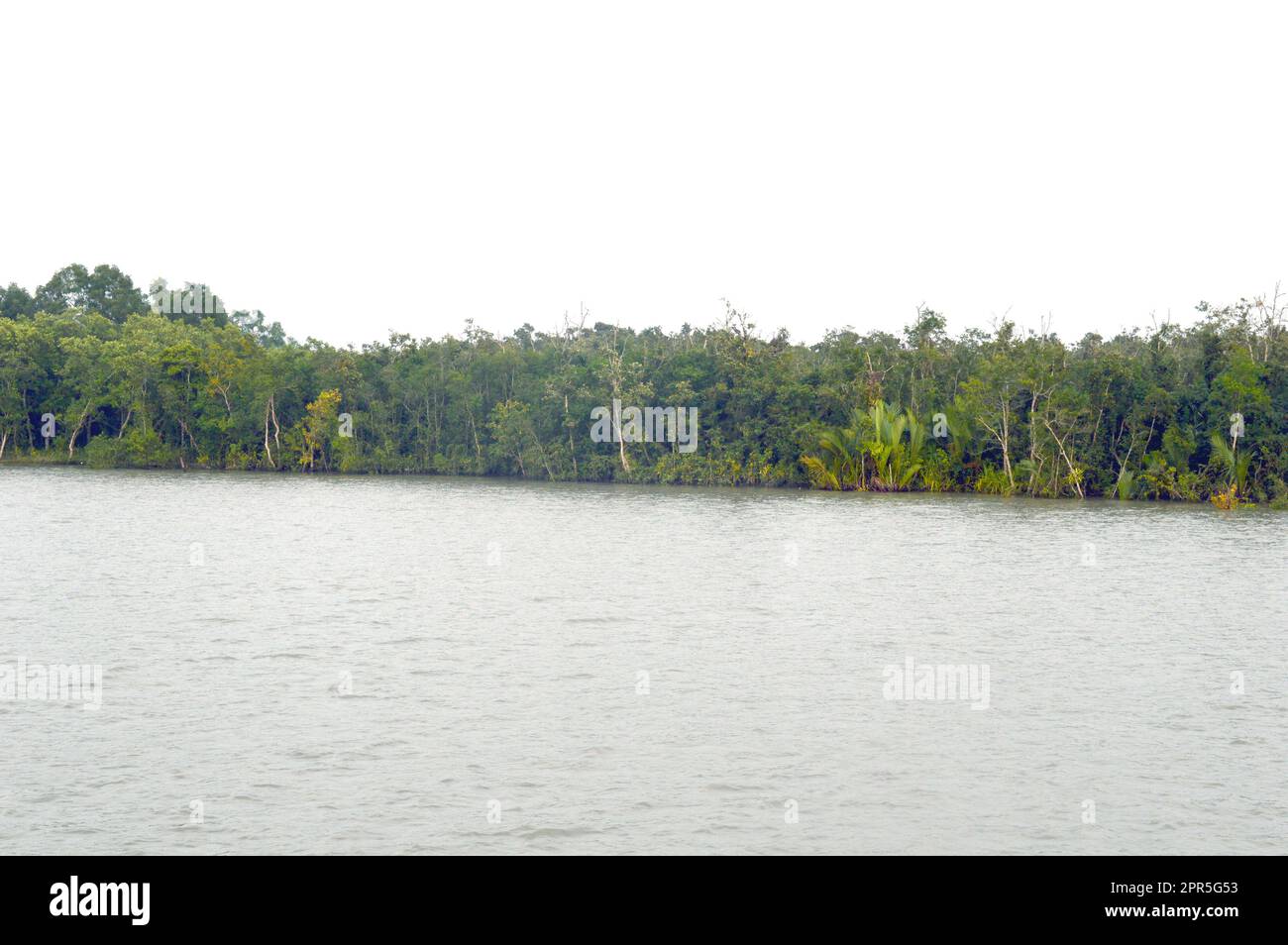 Natural beauty of Sundarbon, beautiful sundarban Stock Photo - Alamy