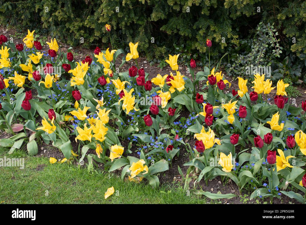Red west hi-res stock photography and images - Alamy