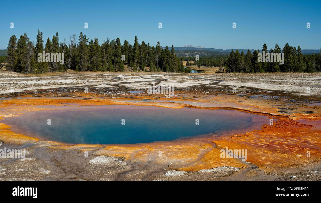 The Opal Pool in Yellowstone National Park, just a few steps away from ...