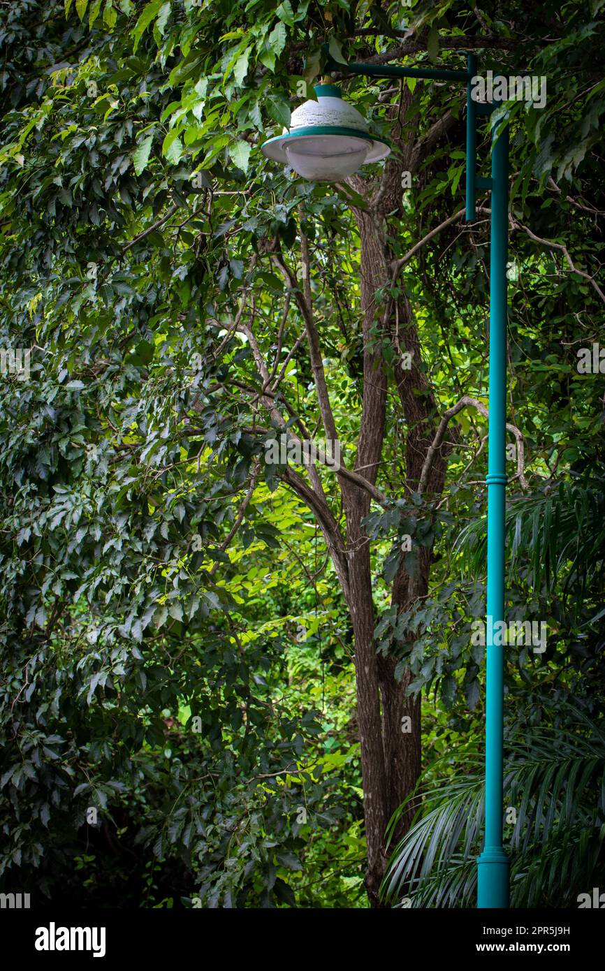 Vintage lamp post covered hi-res stock photography and images - Alamy