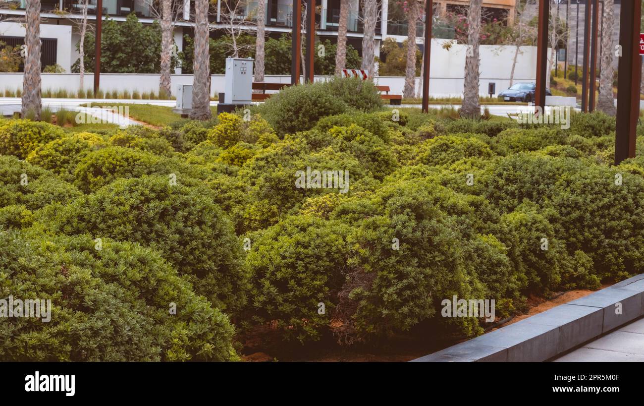City and greenery hi-res stock photography and images - Alamy