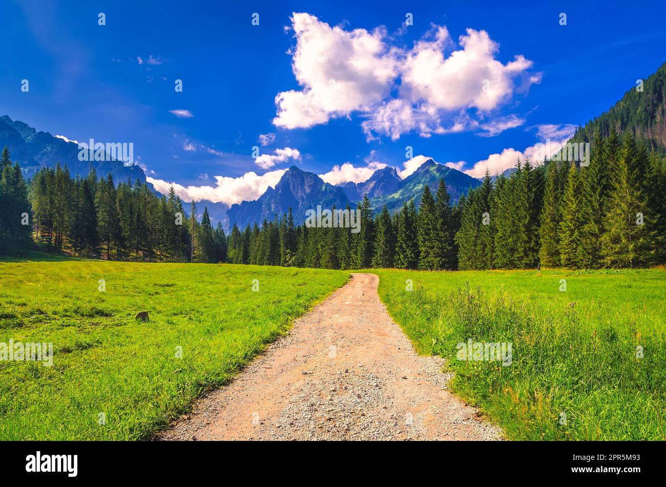 Pathway in Slovak mountains in summer scenery. Mountain trail running ...