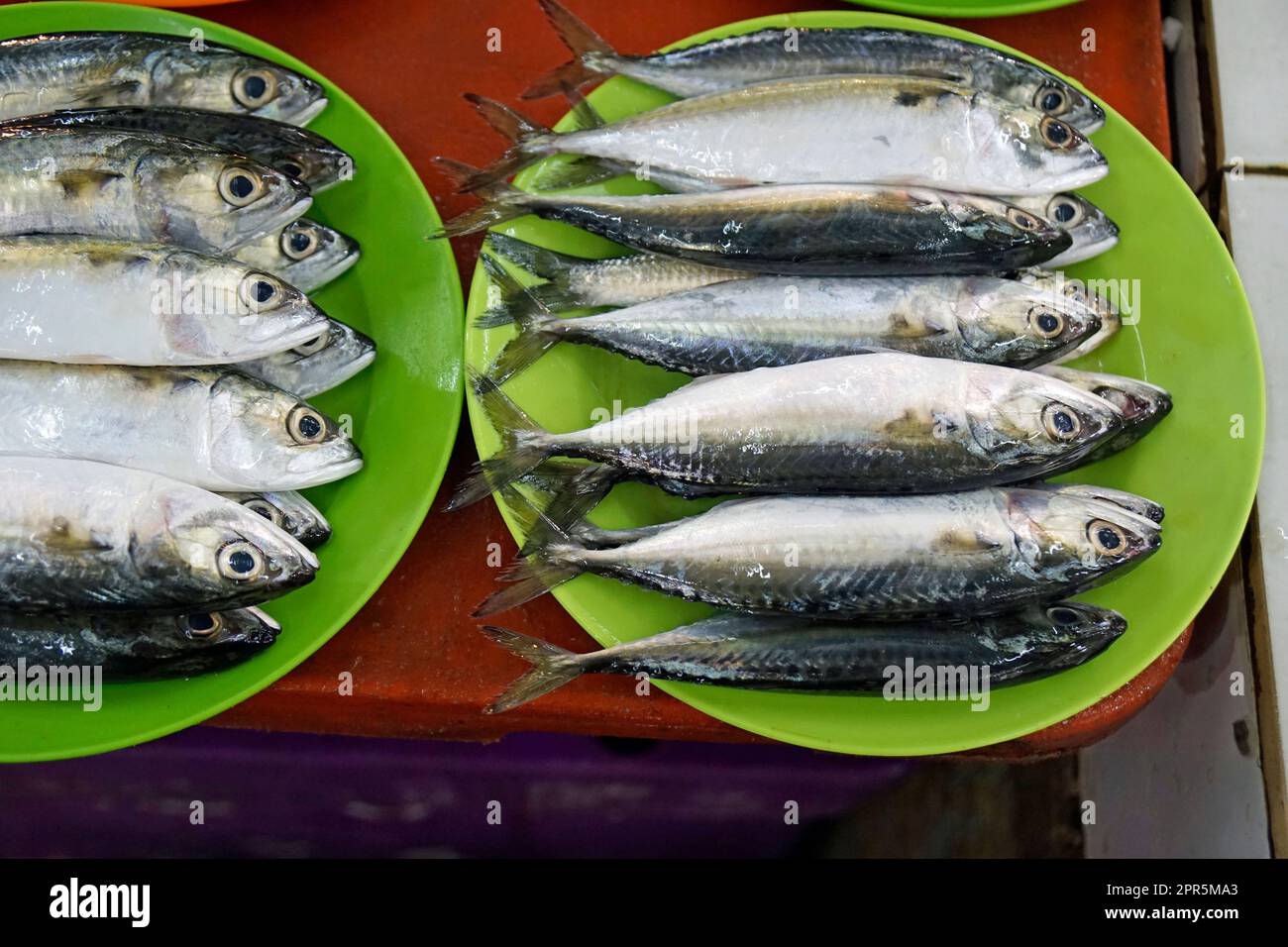 cebu city fish market - vendors selling fresh tasty fish Stock Photo ...