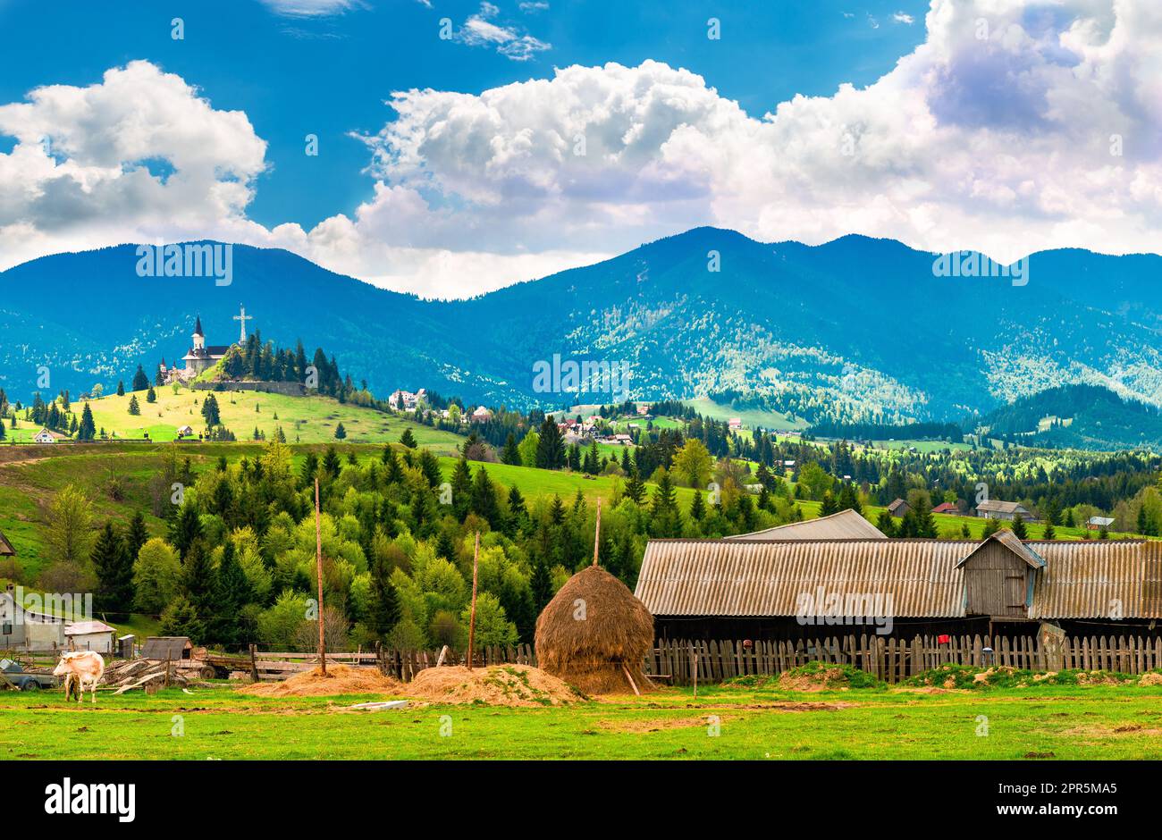 The castle, the cow, the stack of hay are in the high mountains Stock ...