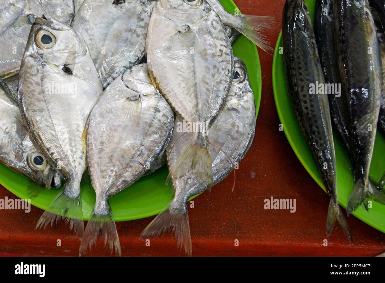 cebu city fish market - vendors selling fresh tasty fish Stock Photo ...