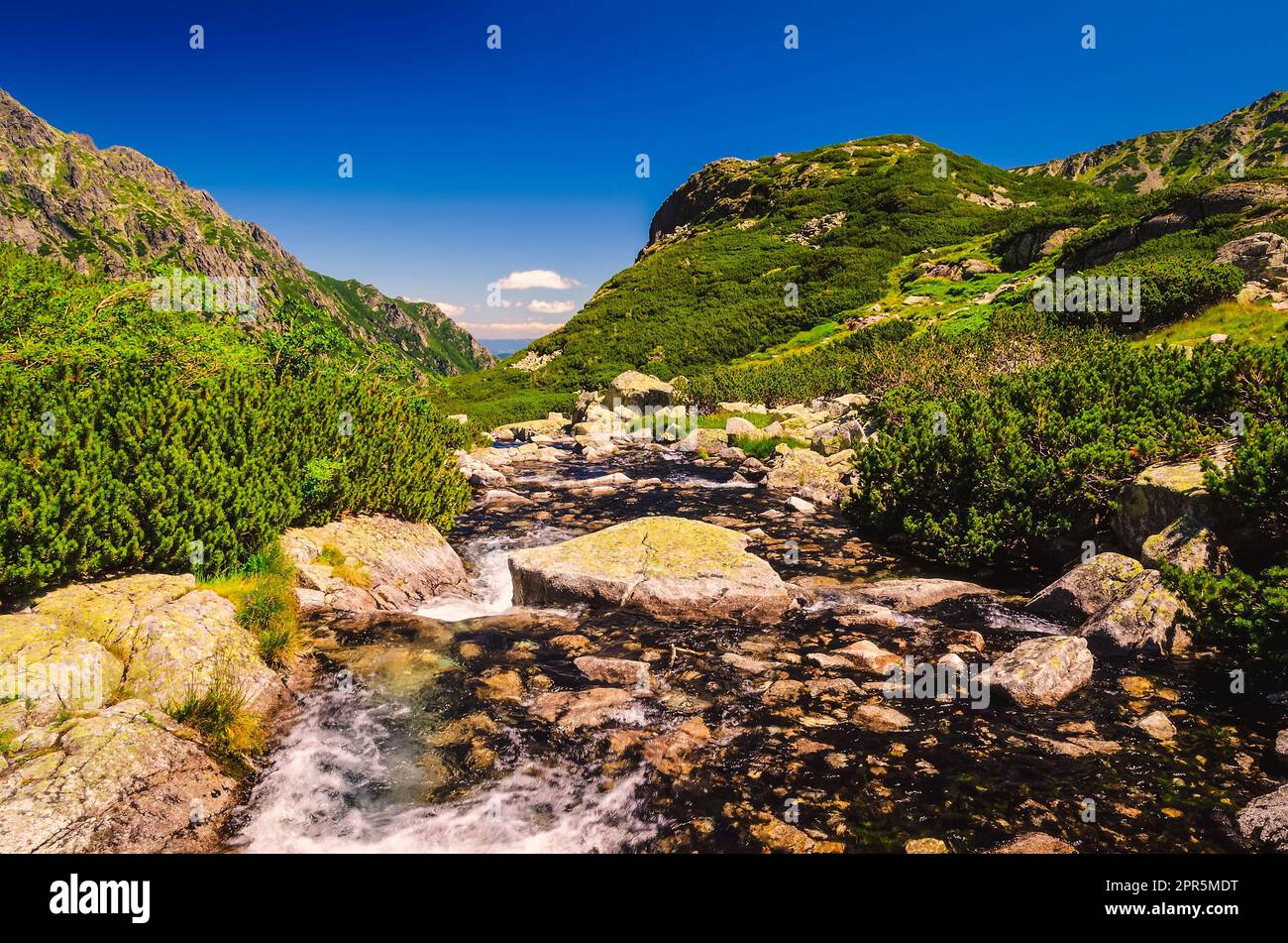 Summer mountain landscape in polish Tatra Mountains. Picturesque view ...