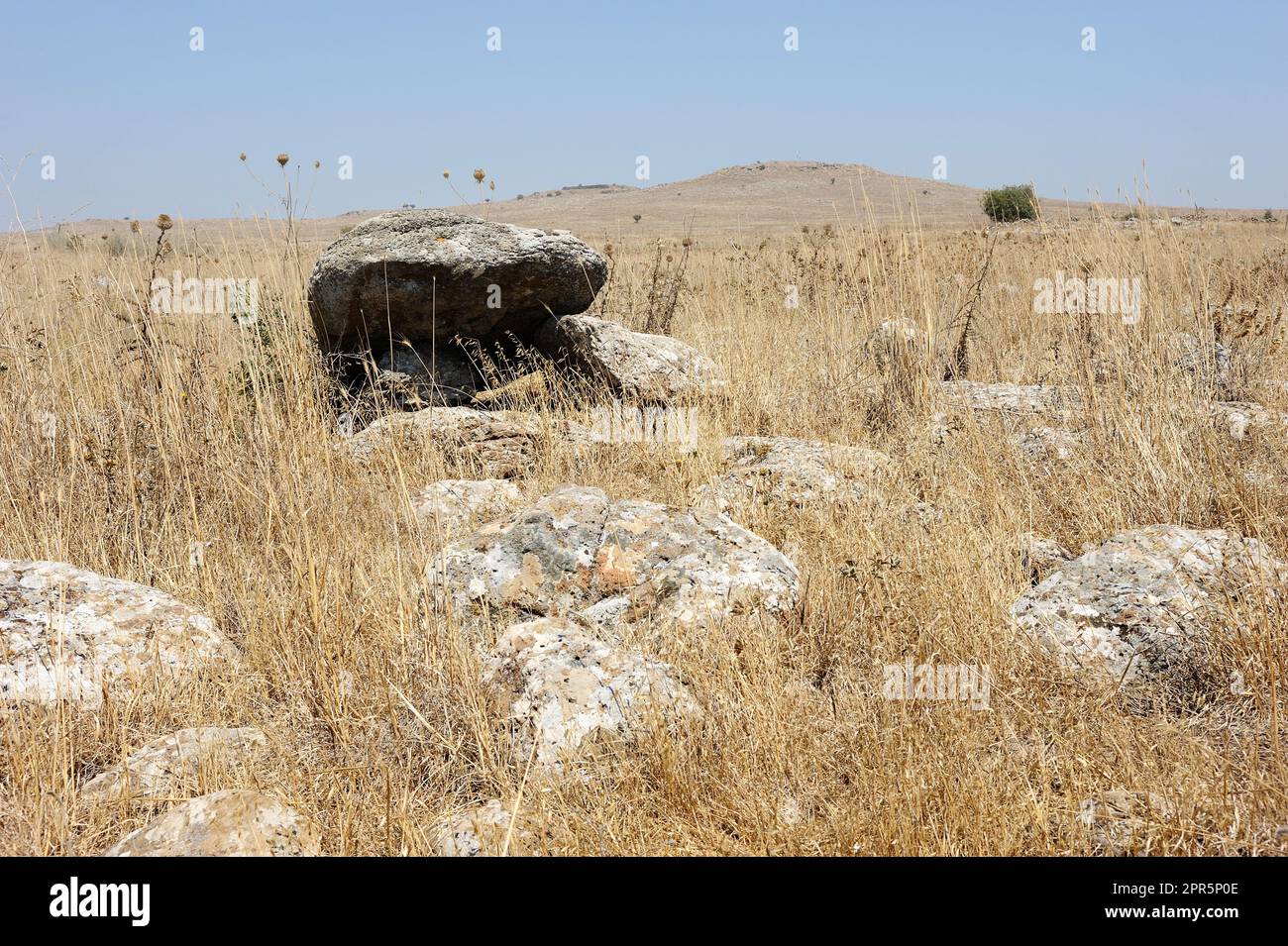 Gamla Nature Reserve in Israel - the ancient city and the tallest ...