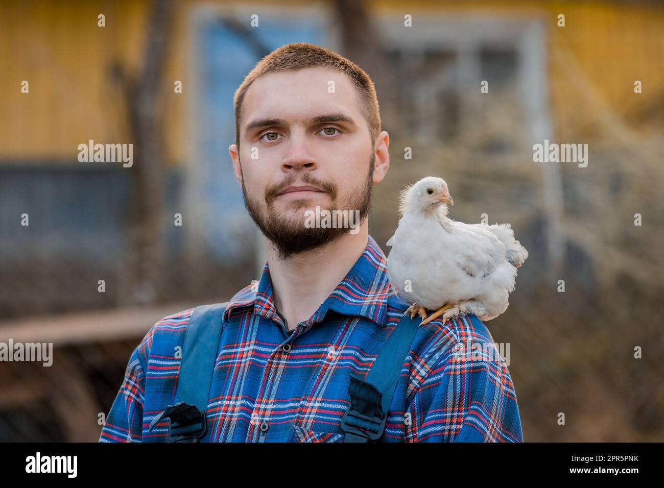 A farmer of European Caucasian appearance a man with a beard portrait ...