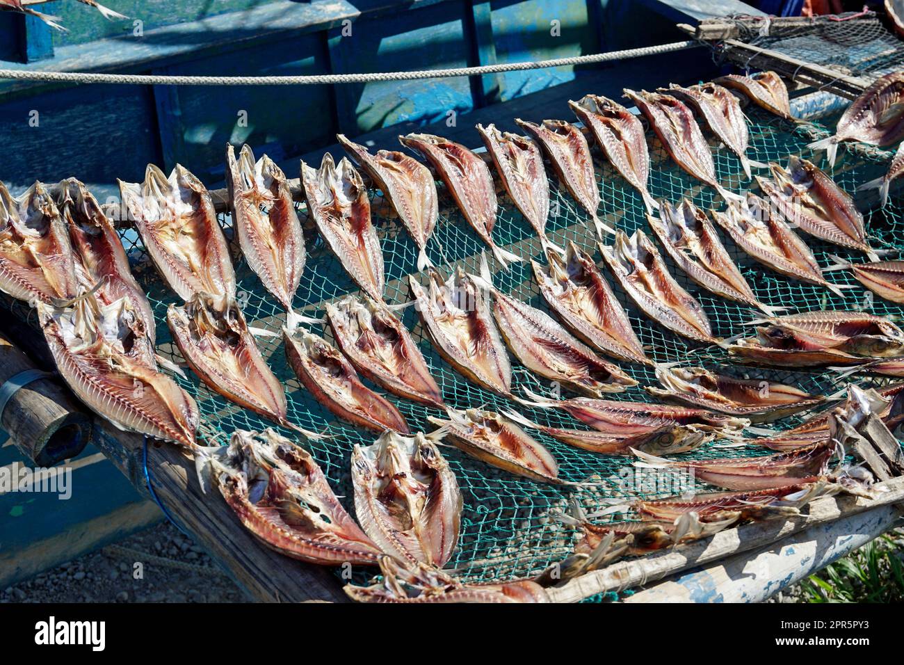 Philippine shellfish hi-res stock photography and images - Alamy