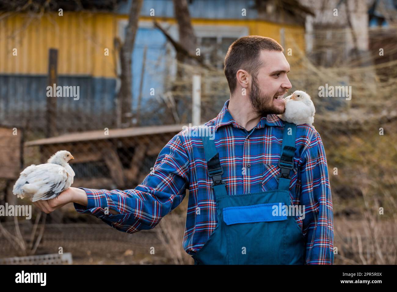 Funny joker farmer of Caucasian appearance man, with a beard holds in ...