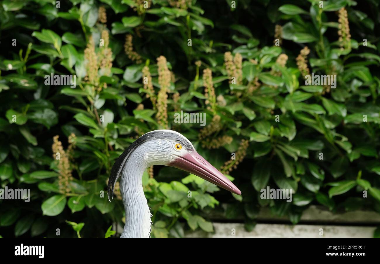 Plastic decoy Heron in a garden Stock Photo - Alamy