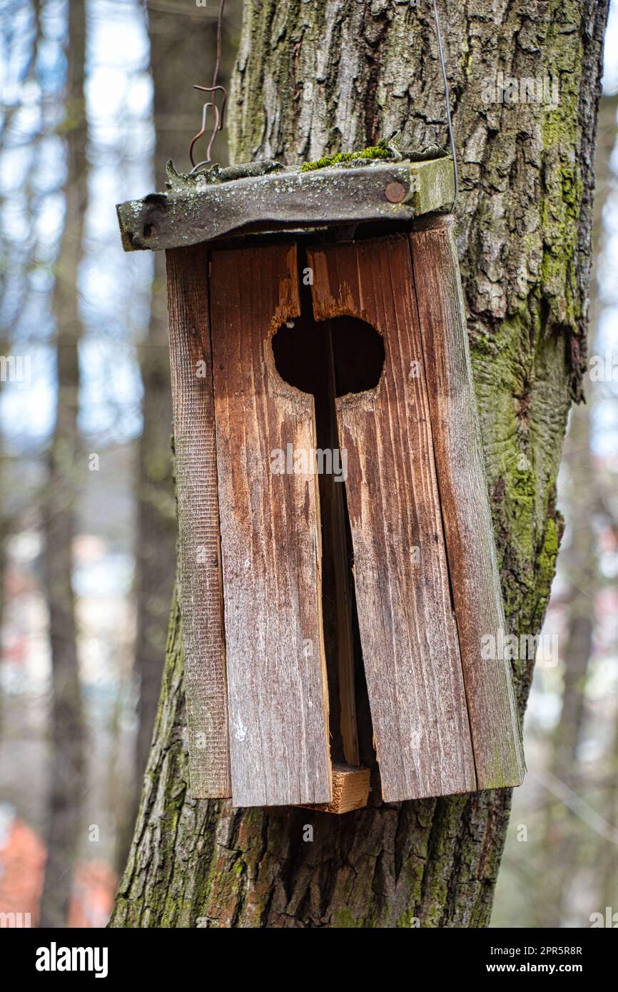 Abandoned and destroyed birdhouse on a tree in park Stock Photo - Alamy