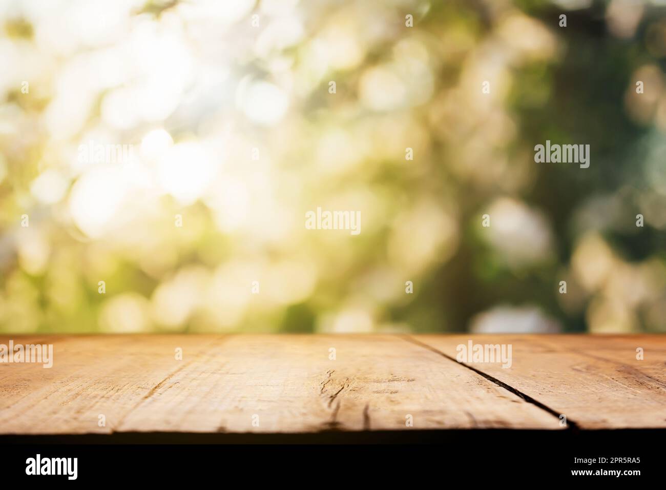 Empty blank wooden plank, deck or table with defocused green trees ...