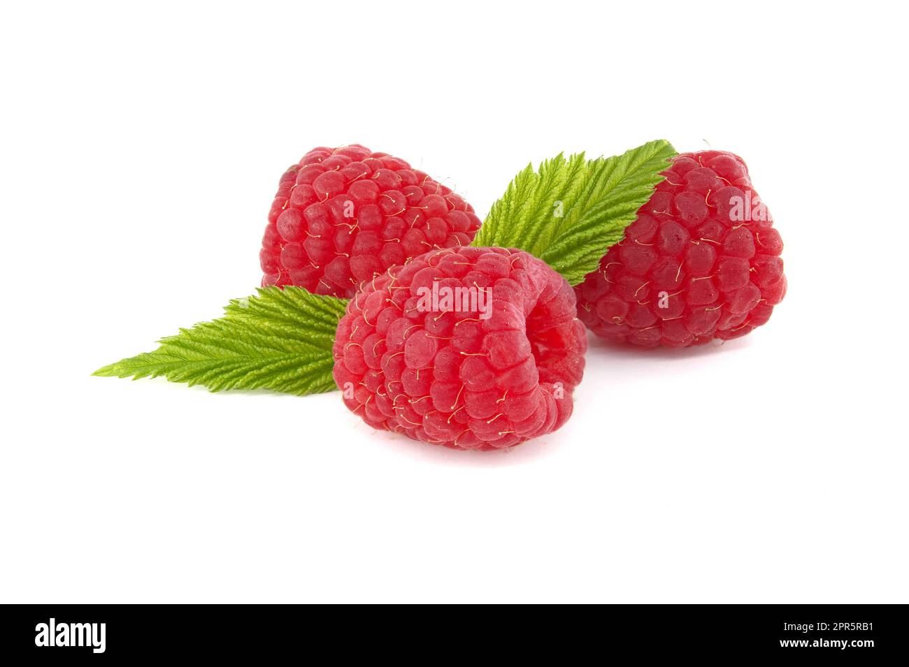 Raspberry berries isolated on white background Stock Photo - Alamy
