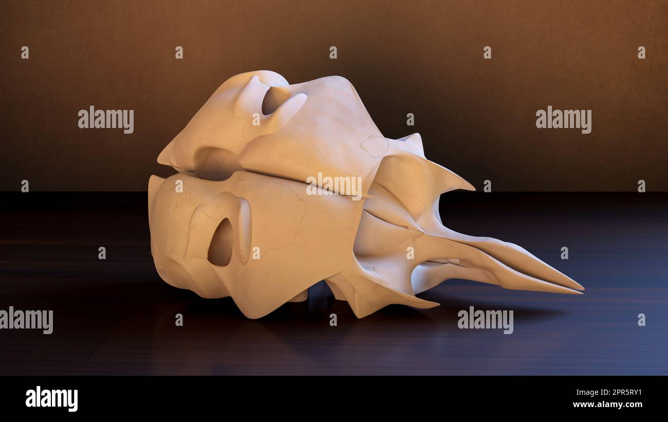 alien skull specimen at the museum bizarre species hoax fact check ...