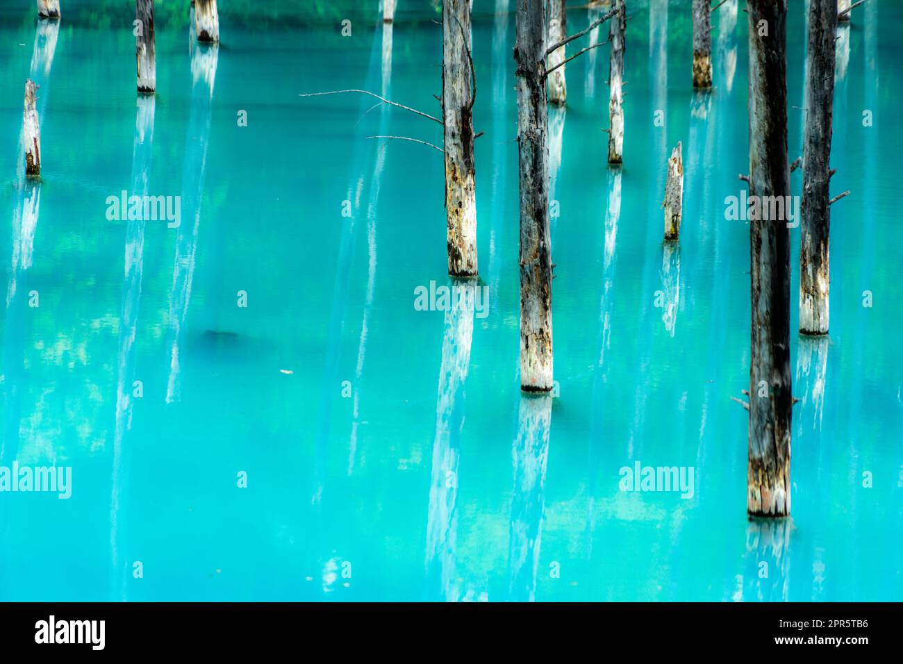 Platinum blue pond (Hokkaido Biei-cho Stock Photo - Alamy