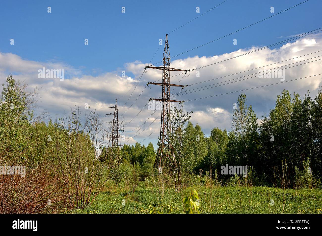 a high-voltage power line runs through the forest against the blue sky ...