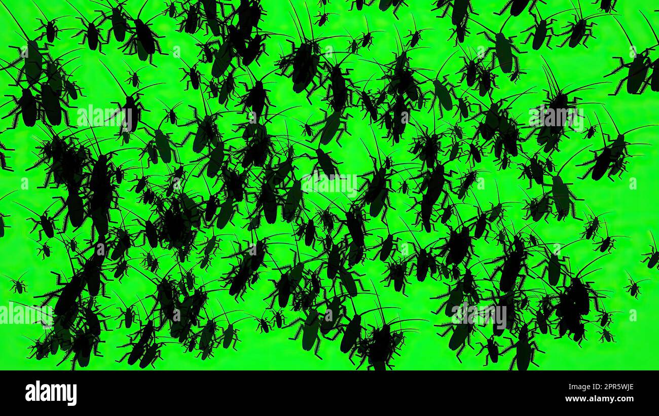 Flying insects green screen hi-res stock photography and images - Alamy