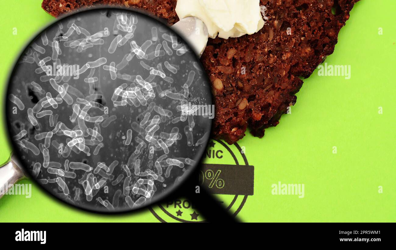 Helicobacter pylori bacteria green hi-res stock photography and images ...