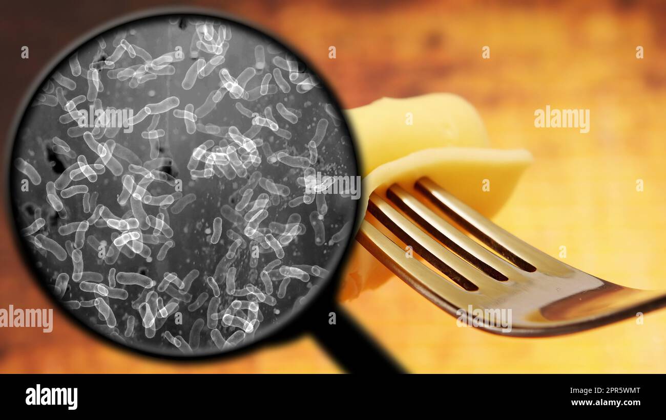 Human pathogen bacteria hi-res stock photography and images - Alamy