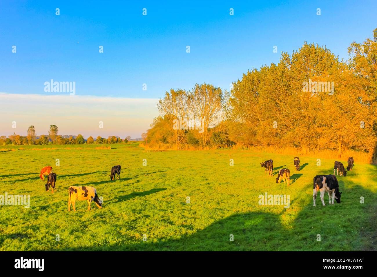 North german agricultural field hi-res stock photography and images - Alamy