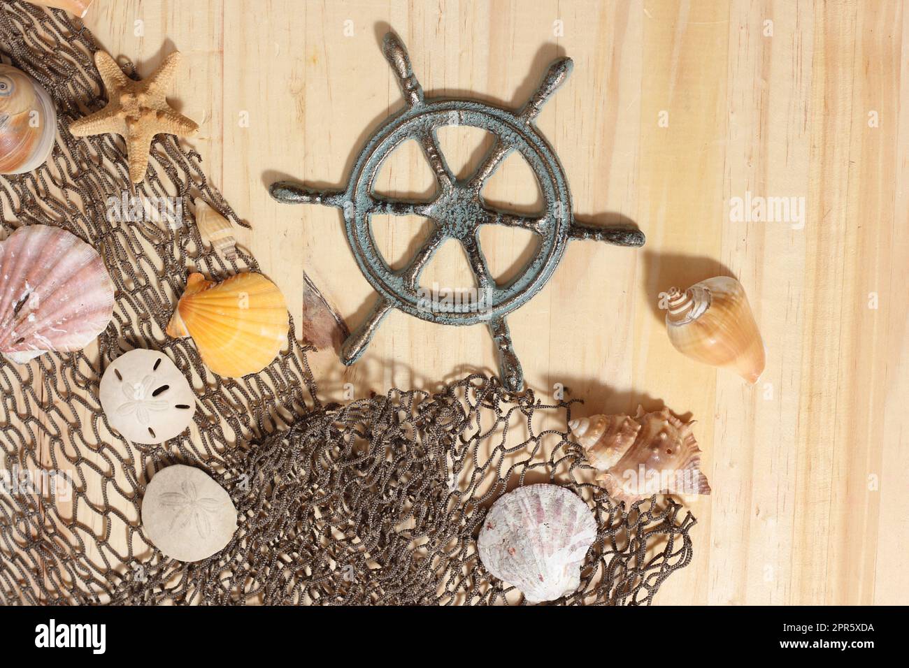 Fishing net sea shells hi-res stock photography and images - Alamy